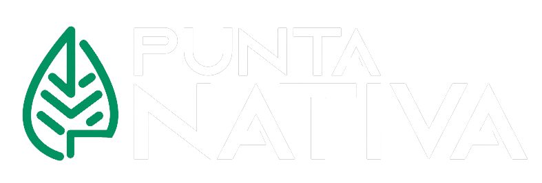 Inicio - Proyectos Centauri