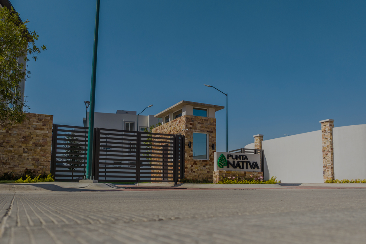 Inicio - Proyectos Centauri