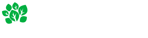 Inicio - Proyectos Centauri